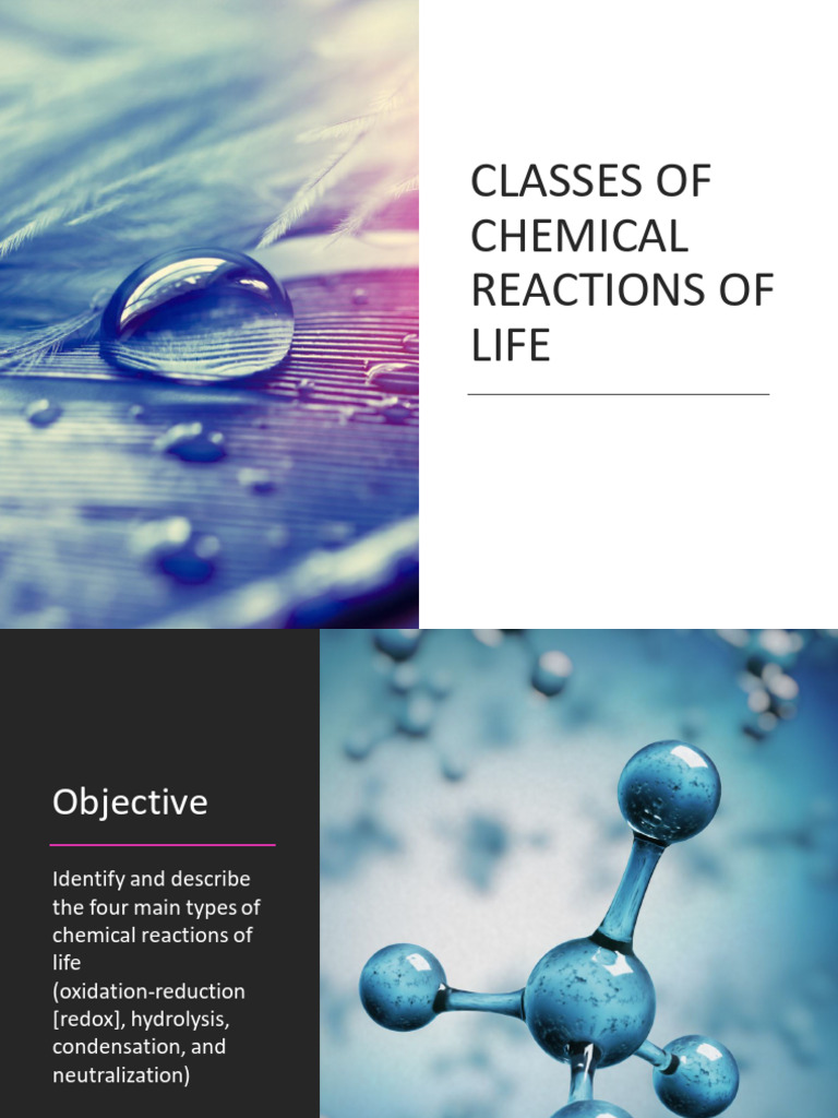 CO2-Lecture 4-Classes of Chemical Reactions of Life | PDF