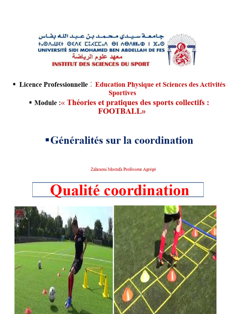 Coordination | PDF