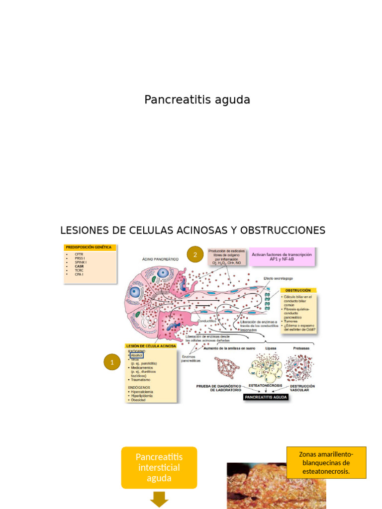 MEDICINA | PDF