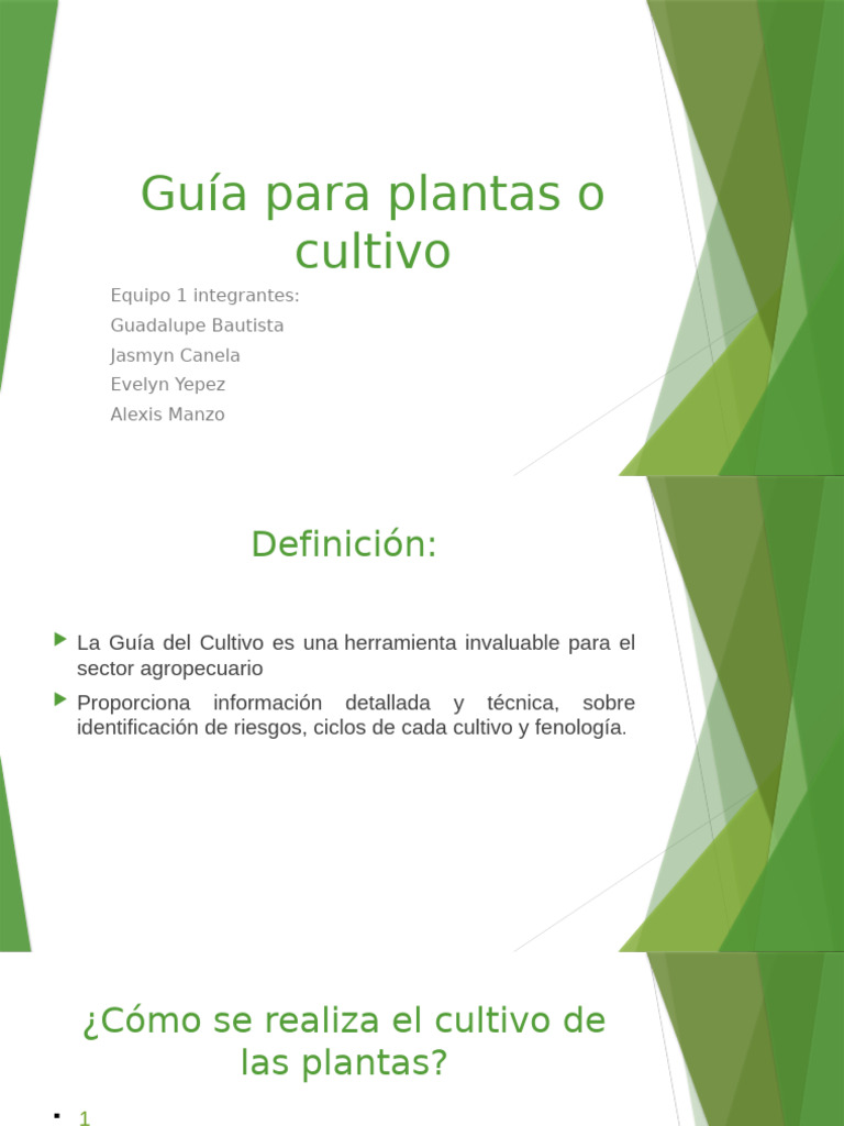 Guìa para Plantas o Cultivo - PPTX Equipo 1 Mod | PDF | Siembra ...