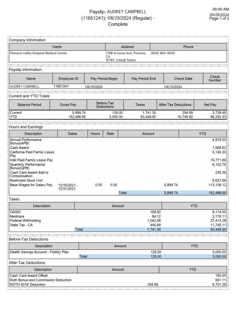 Paystubs Borrower | PDF