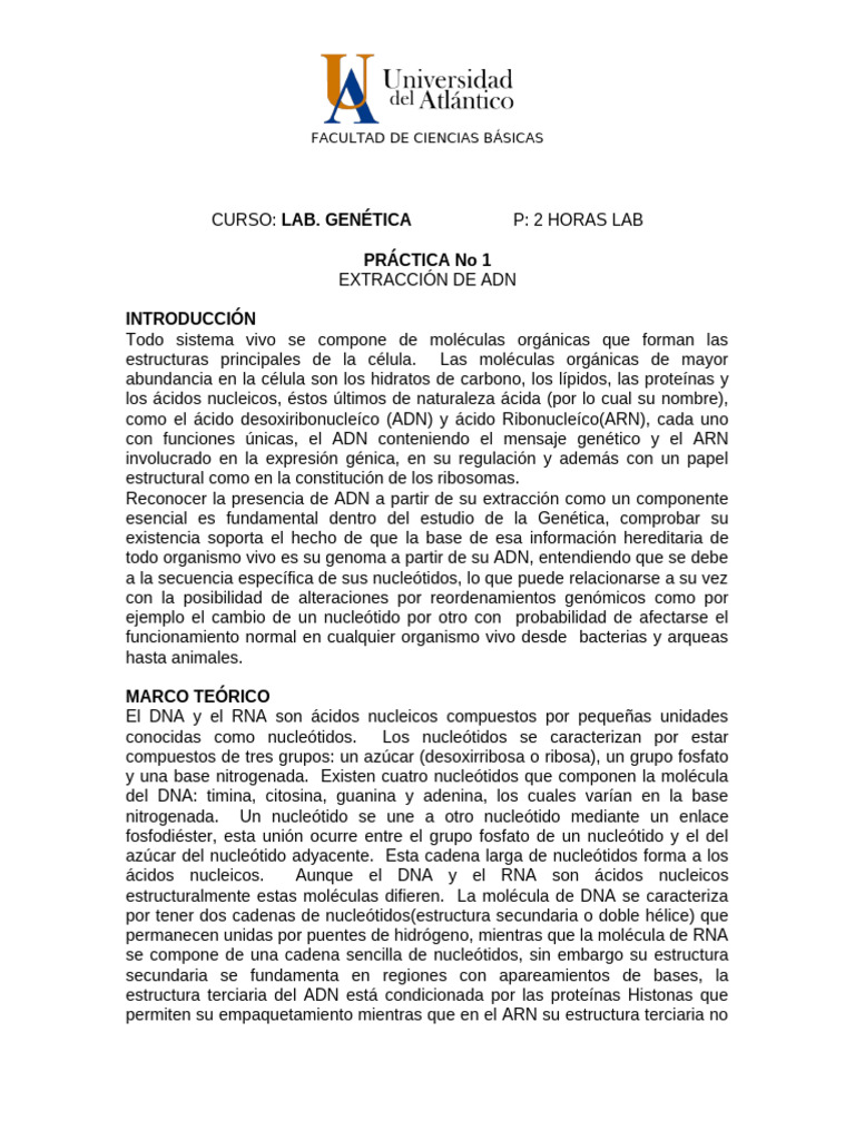 Usar GENÉTICA GUIA DE LABORATORIO # 4 Extraccion ADN 2022-II | PDF