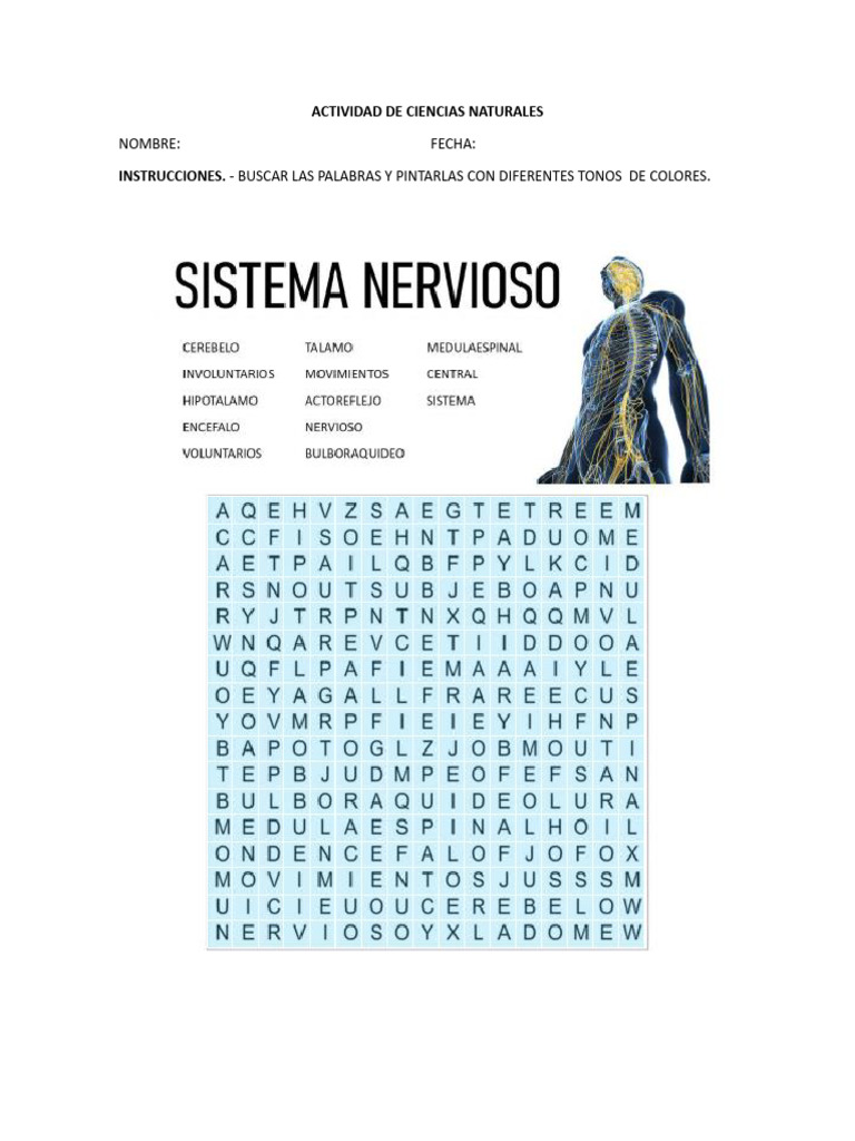 Actividad de Ciencias Naturales-Sopa de Letras | PDF