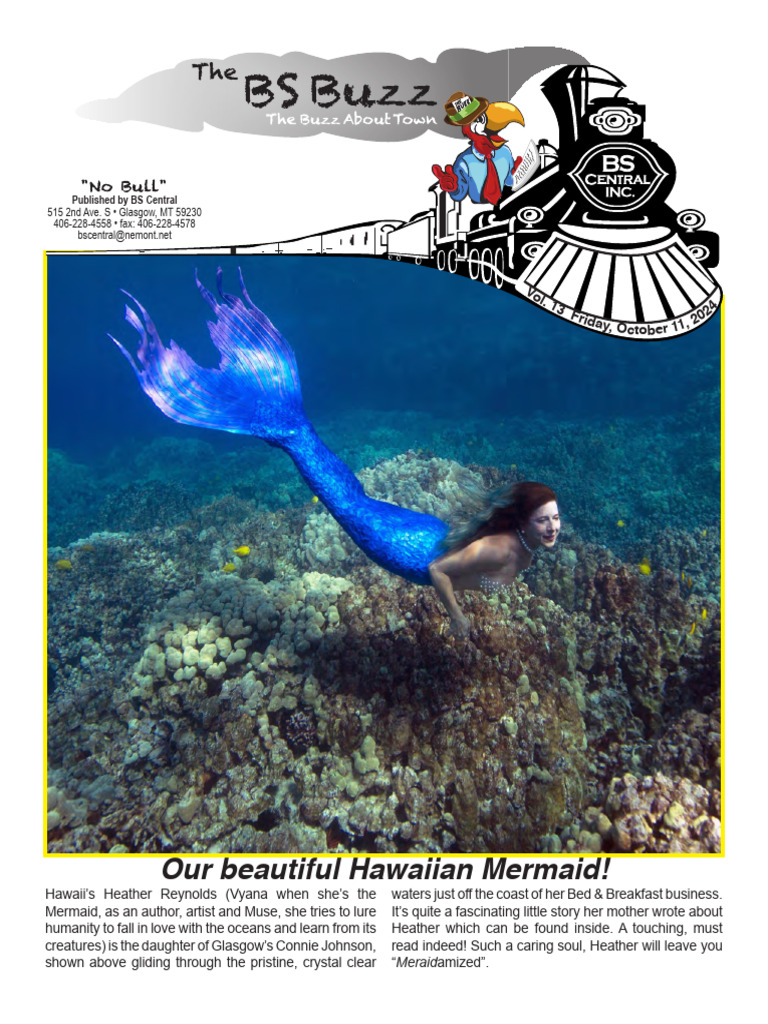 BS Buzz | PDF | Steak | Beef