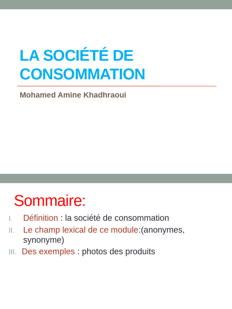 La Société de Consommation | PDF
