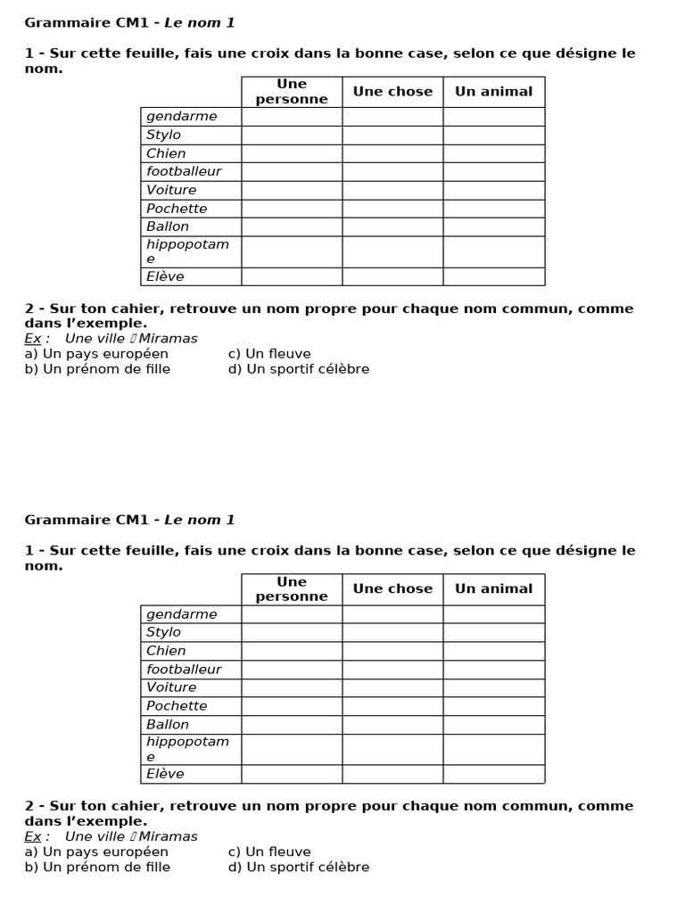 CM1 Le Nom Exercices | PDF