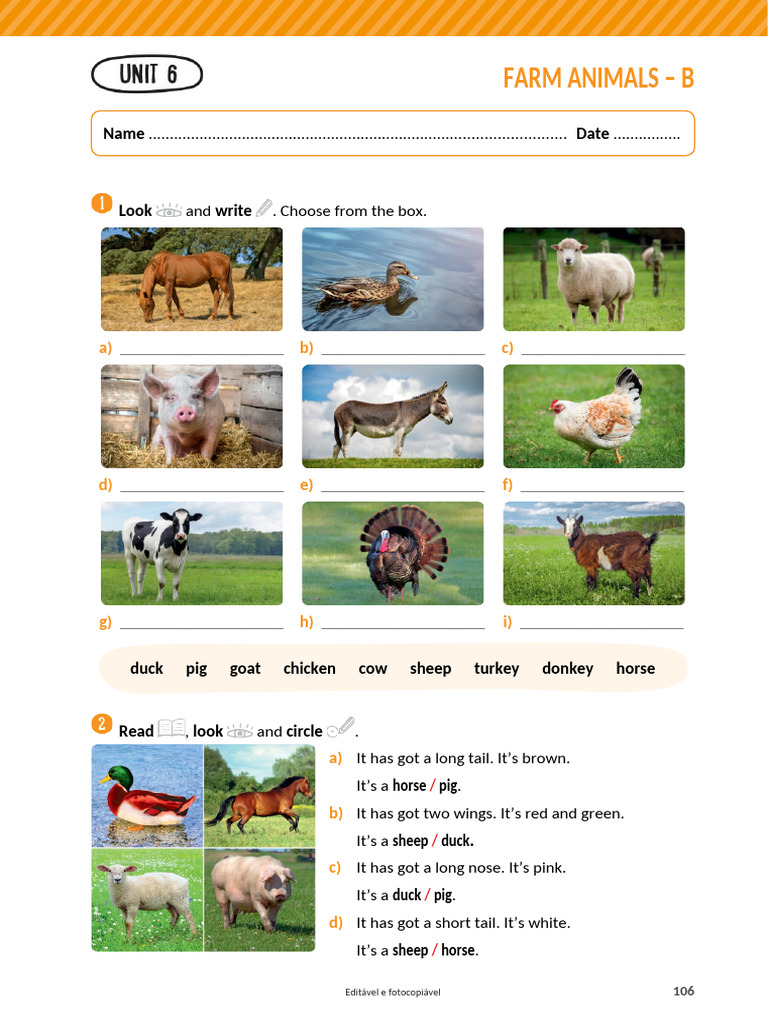 (4.6.1.2) Start The Magic4 DP (Graded Worksheets Farm Animals - B) | PDF