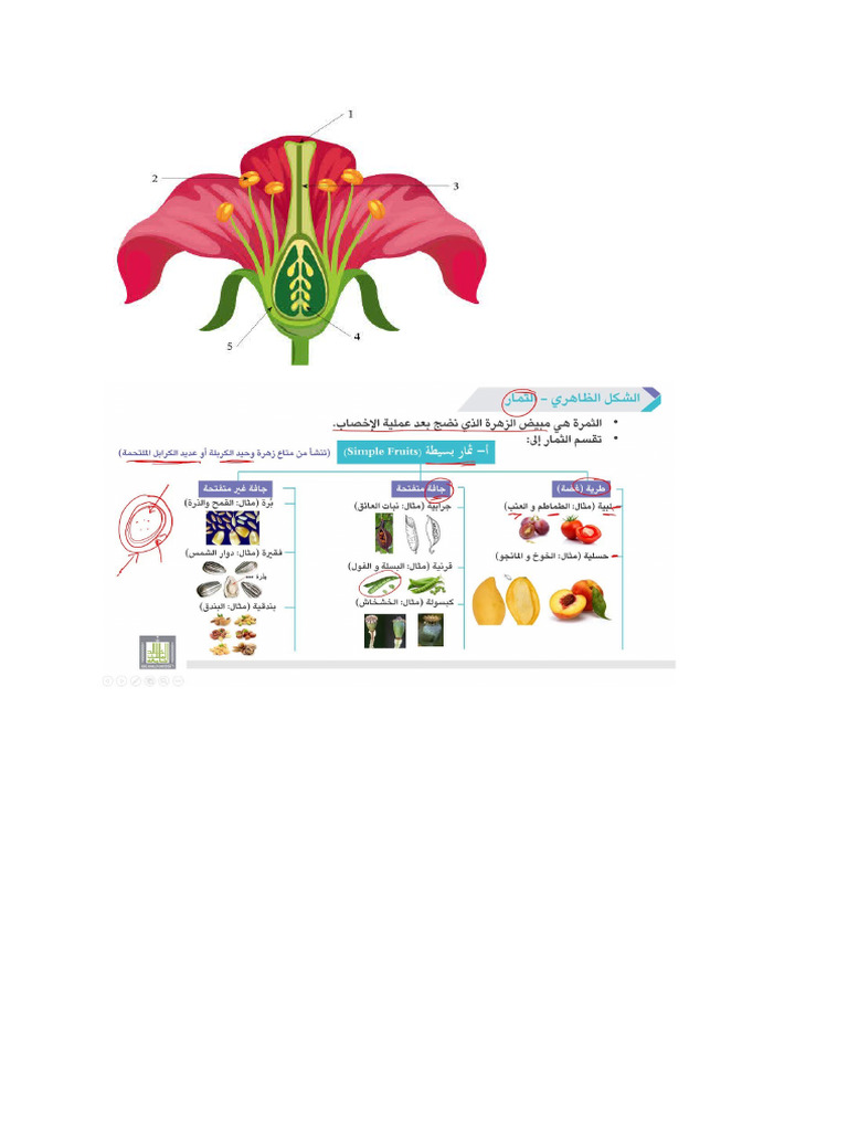 Nabatat Zahria | PDF
