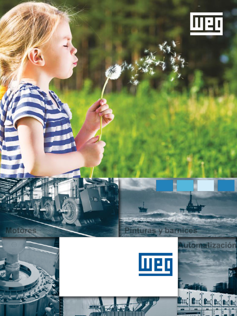 Weg Pdf