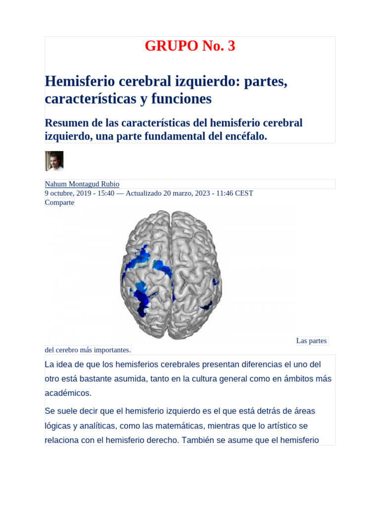 Hemisferio Cerebral Pdf
