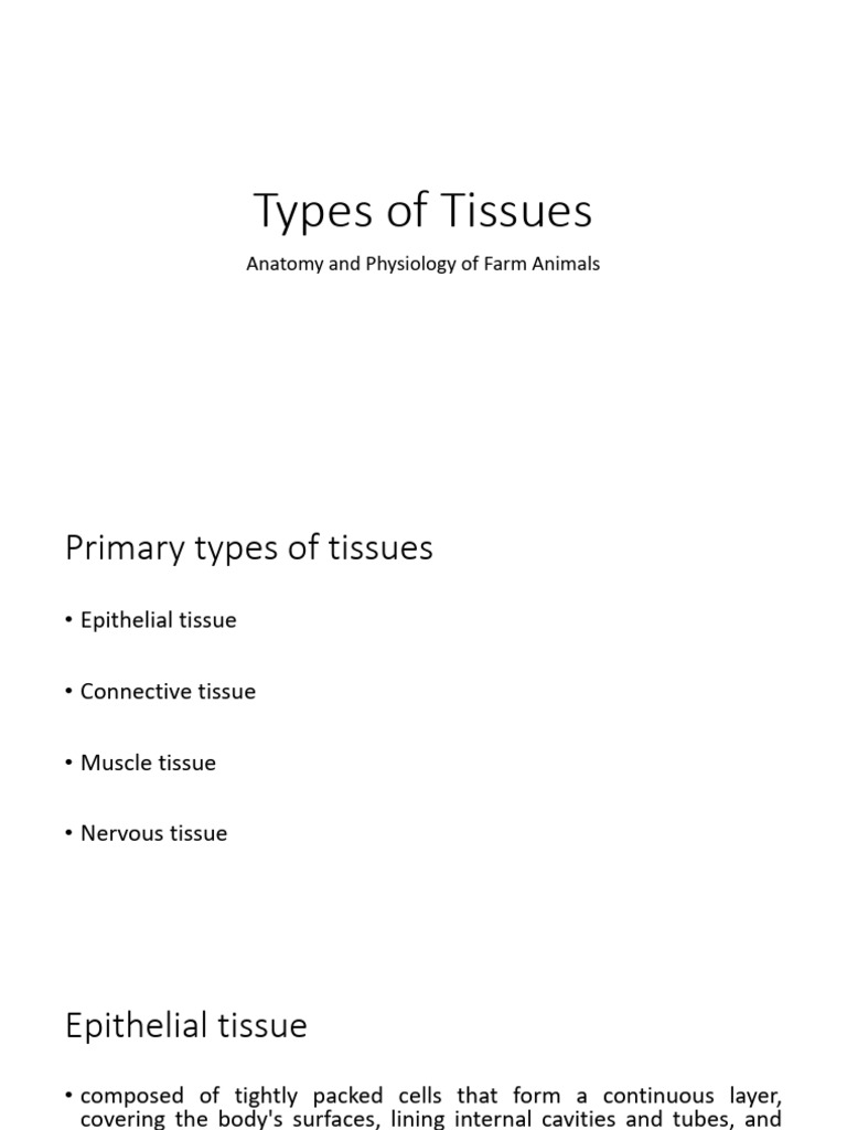 Tissues | PDF