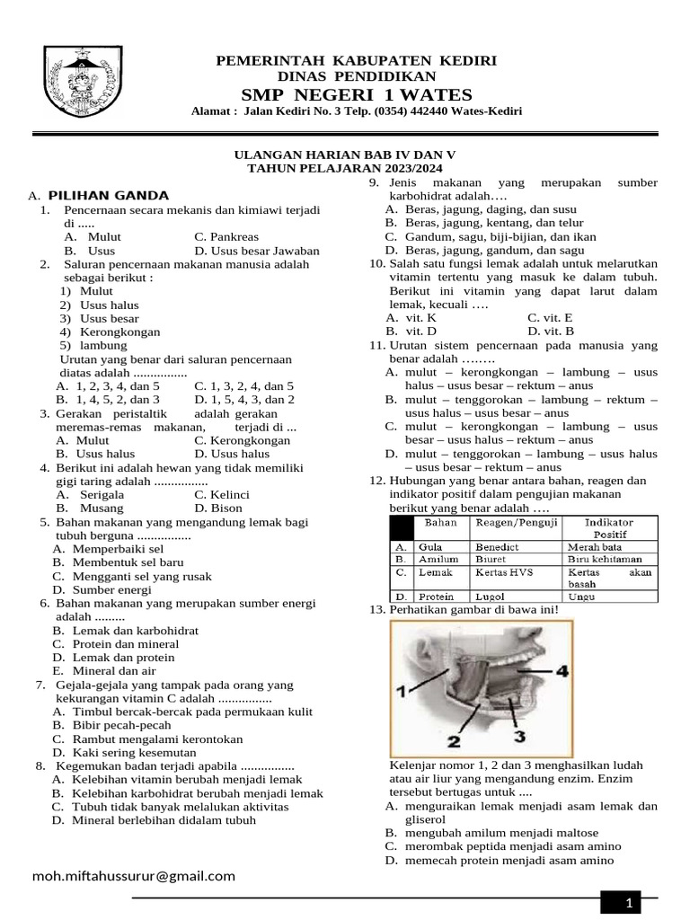 PH Bab 4 Dan 5 Sistem Pencernaan Dan Zat Aditif | PDF