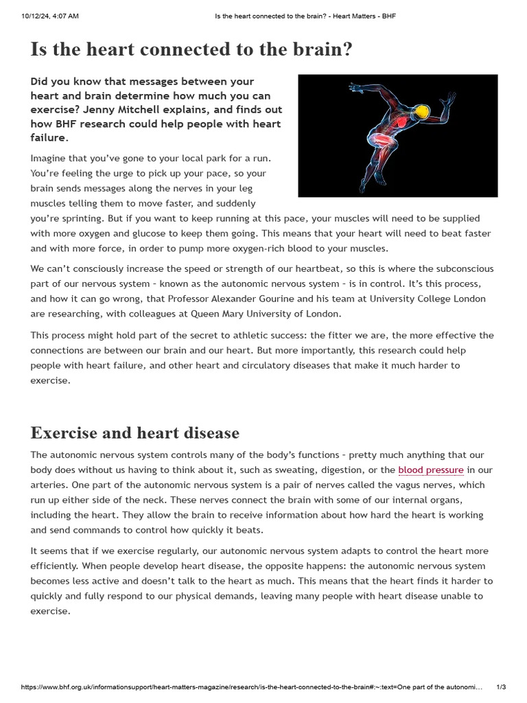 Is The Heart Connected To The Brain - Heart Matters - BHF | PDF