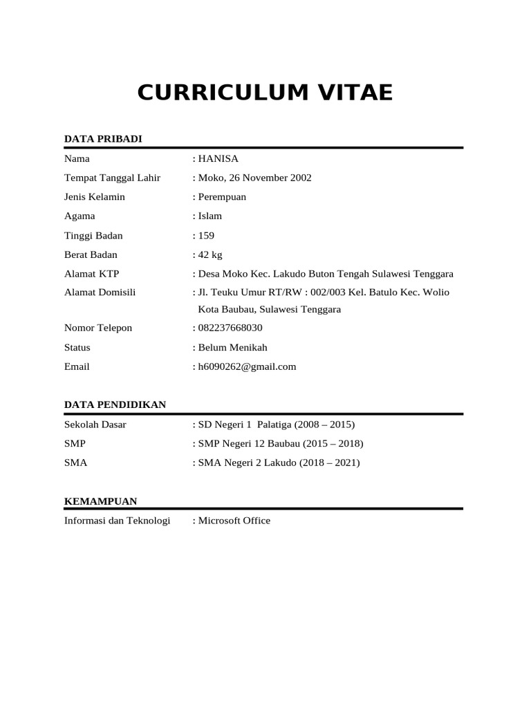 Curriculum Vitae Hanisa | PDF