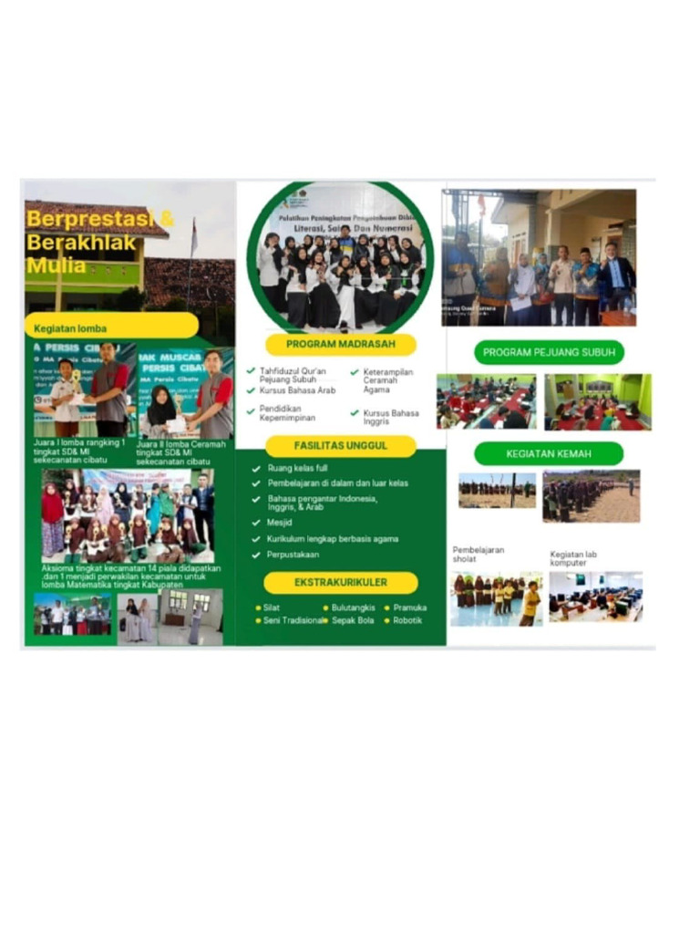 Brosur PPDB Mi | PDF