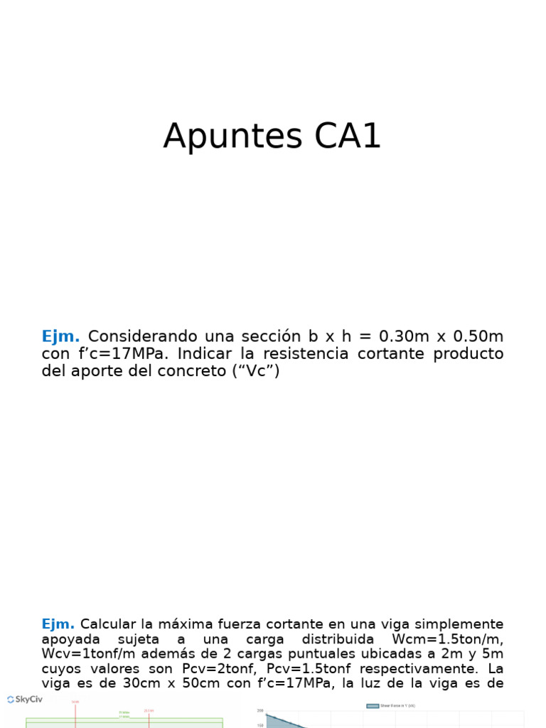 CA1 Apuntes11 | PDF