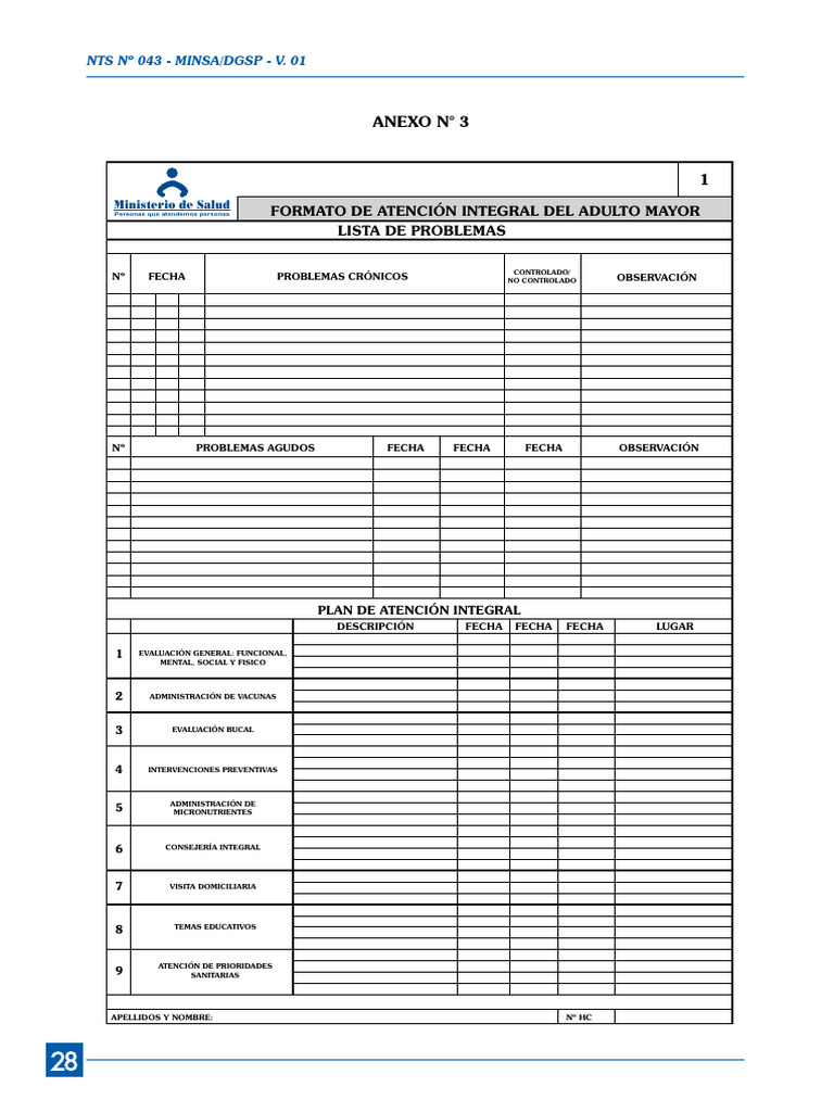 Formato VACAM - MINSA | PDF