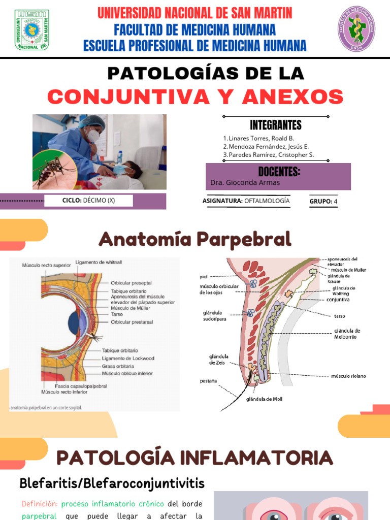 Patologías de La Conjuntiva y Anexos | PDF