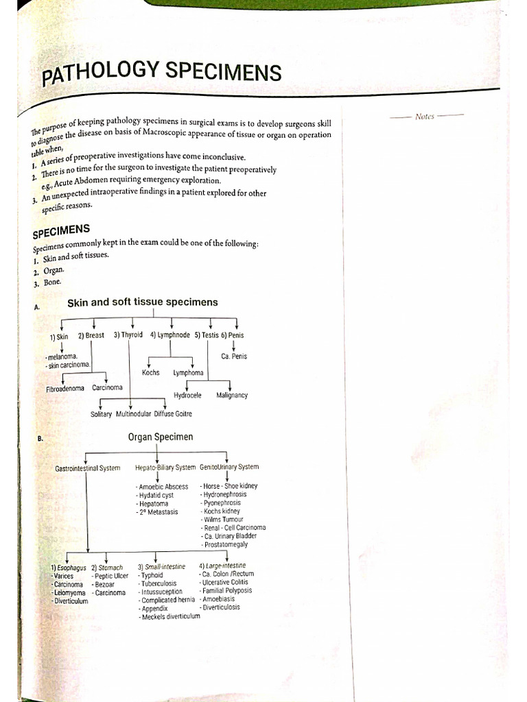 Surgery Specimens | PDF