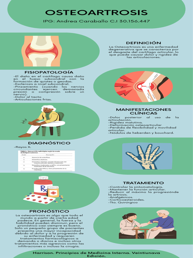 Infografía - Osteoartrosis. Andrea Caraballo C.I 30.156.447 | PDF