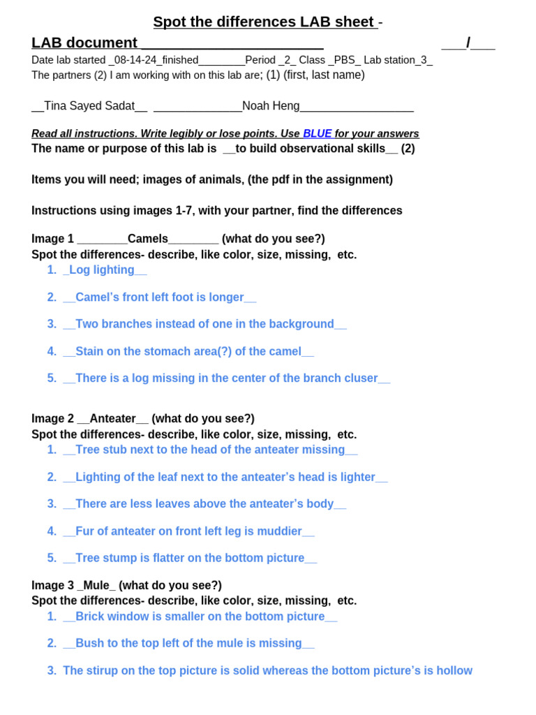 Spot The Differences LAB Sheet | PDF