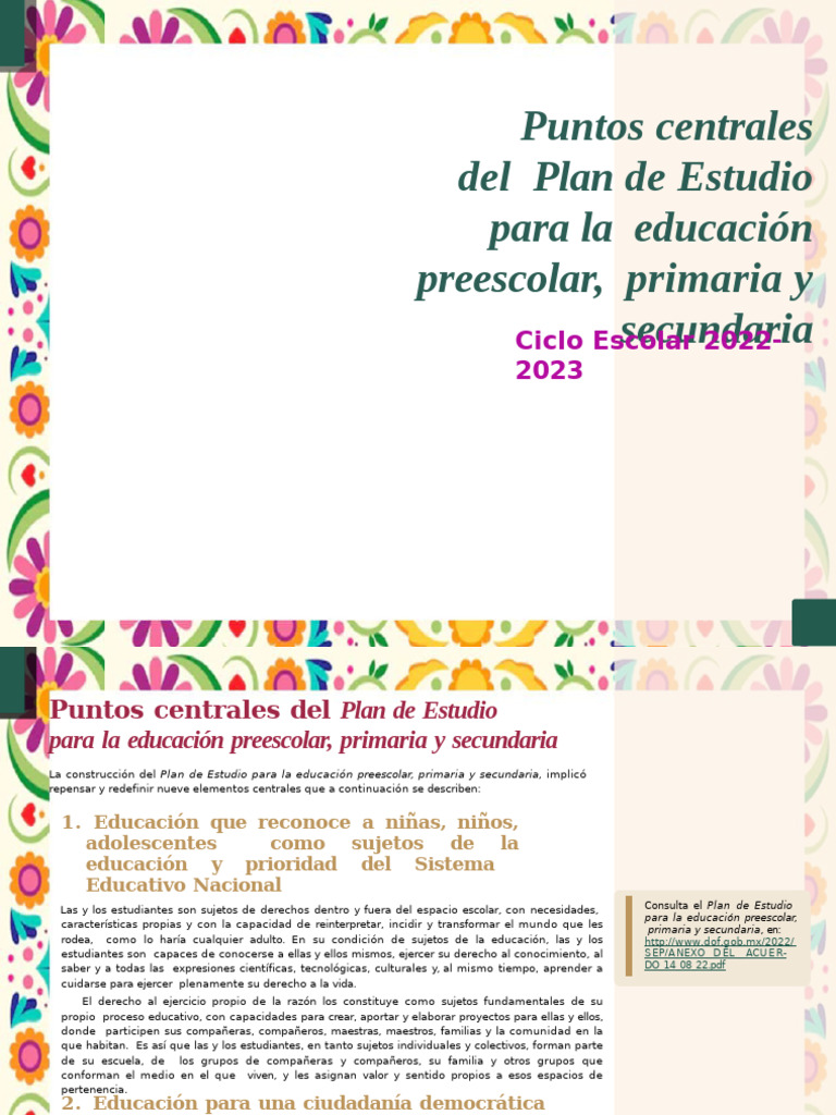 Puntos Centrales Del Plan de Estudio | PDF | Enseñando | Plan de estudios