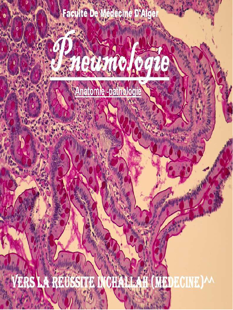 Pneumo Anapath | PDF