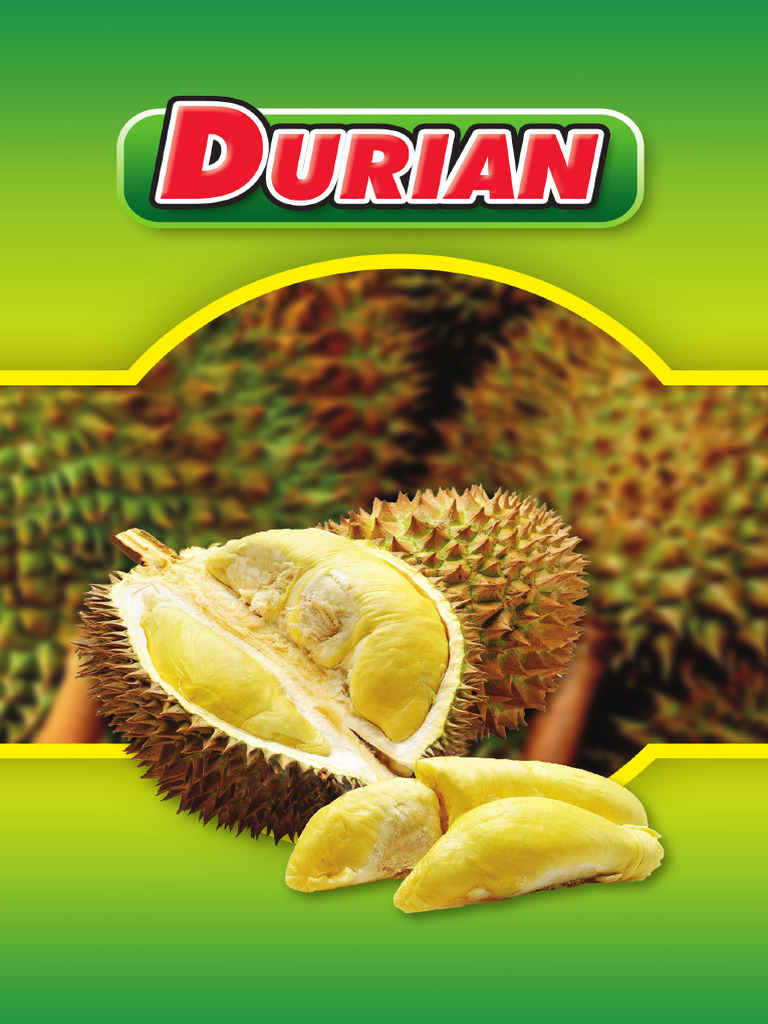 Durian Production Guide Koronadal New | PDF | Spoon | Botany