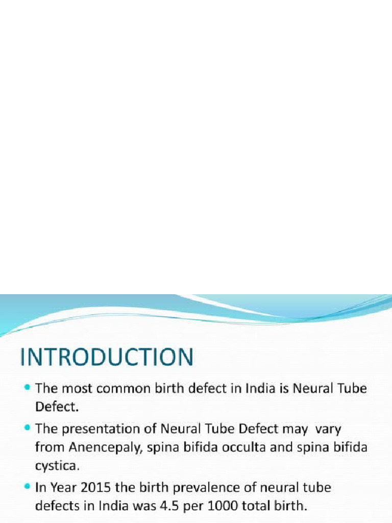 Neural Tube Defect Presentation - 20240808 - 112416 | PDF