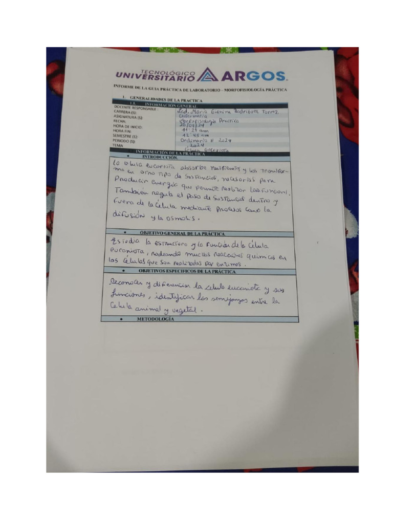 Morfo .Pract - Grace S | PDF