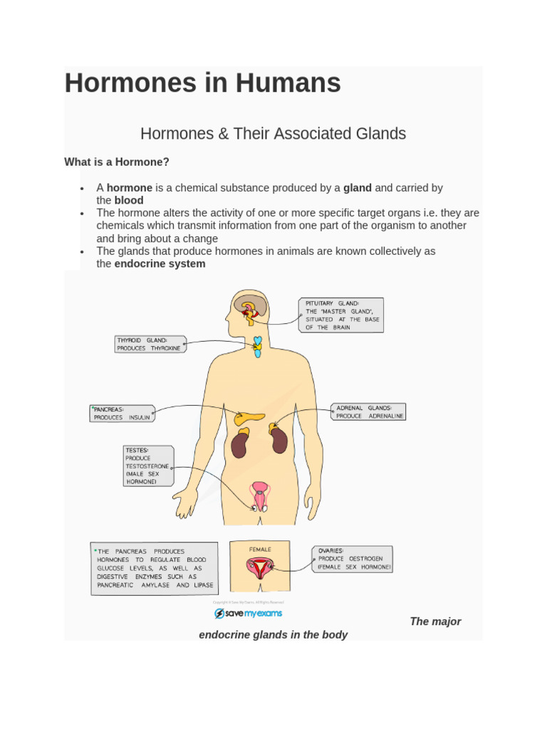 Hormones in Humans Endocrine System | PDF