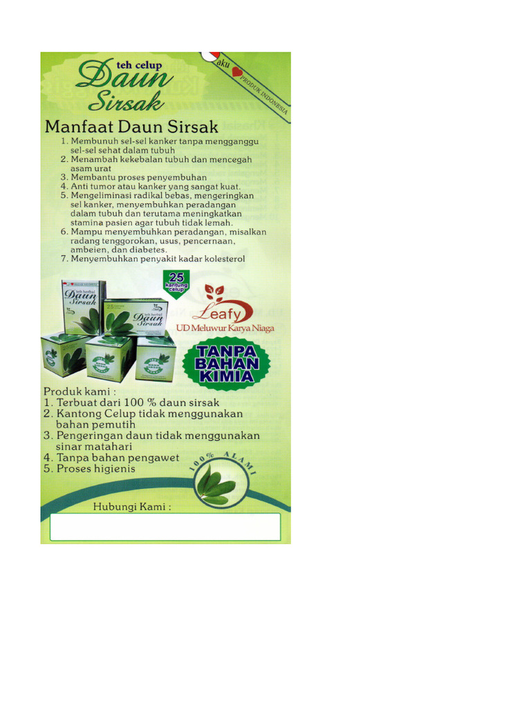 Contoh Leaflet | PDF