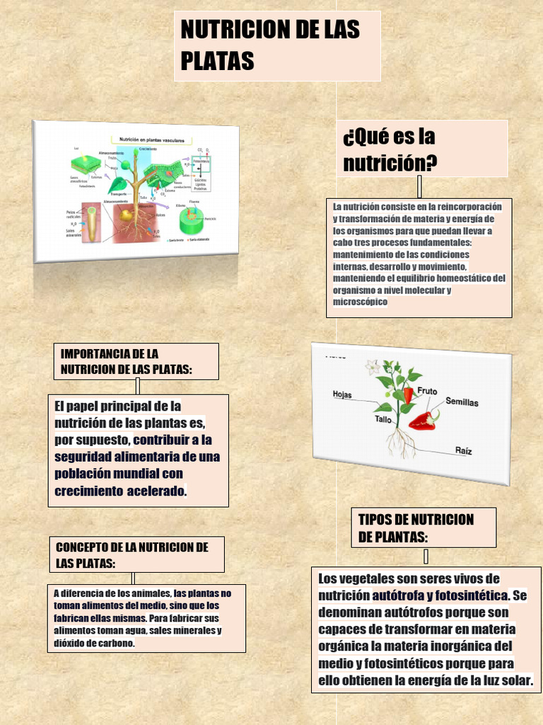 Afiche de Nutricion de Las Platas | PDF