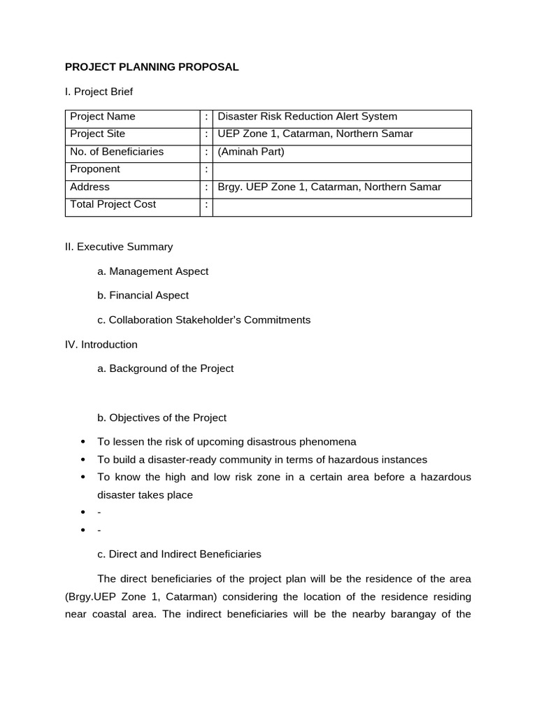 Project Management | PDF