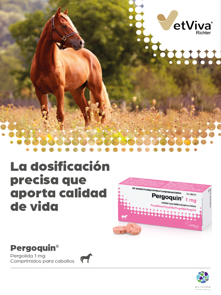 Brochure Pergoquin Web | PDF