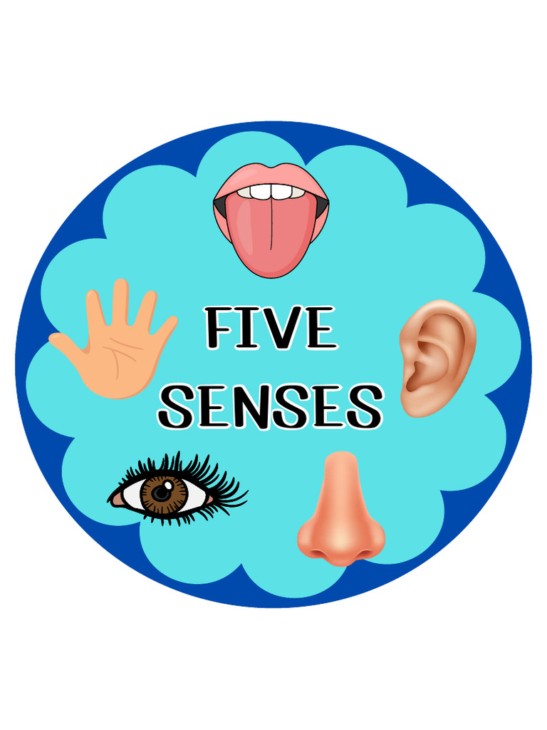 Five Senses Sorting Activity | PDF