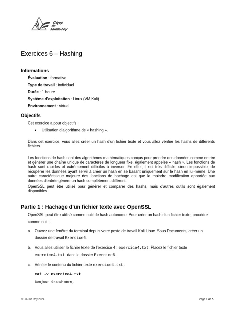 Exercice06 Hashing | PDF