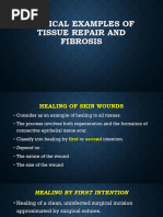 First vs. Second Intention Healing | PDF | Wound Healing | Scar