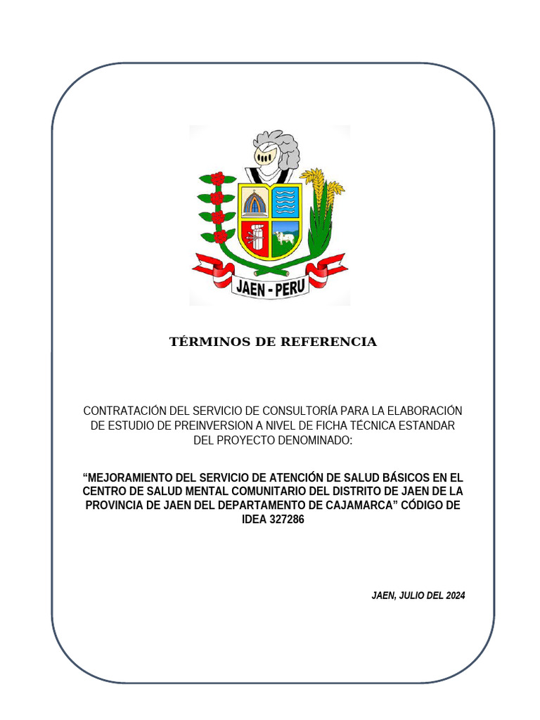 TDR Puesto de Salud Mental Ok | PDF