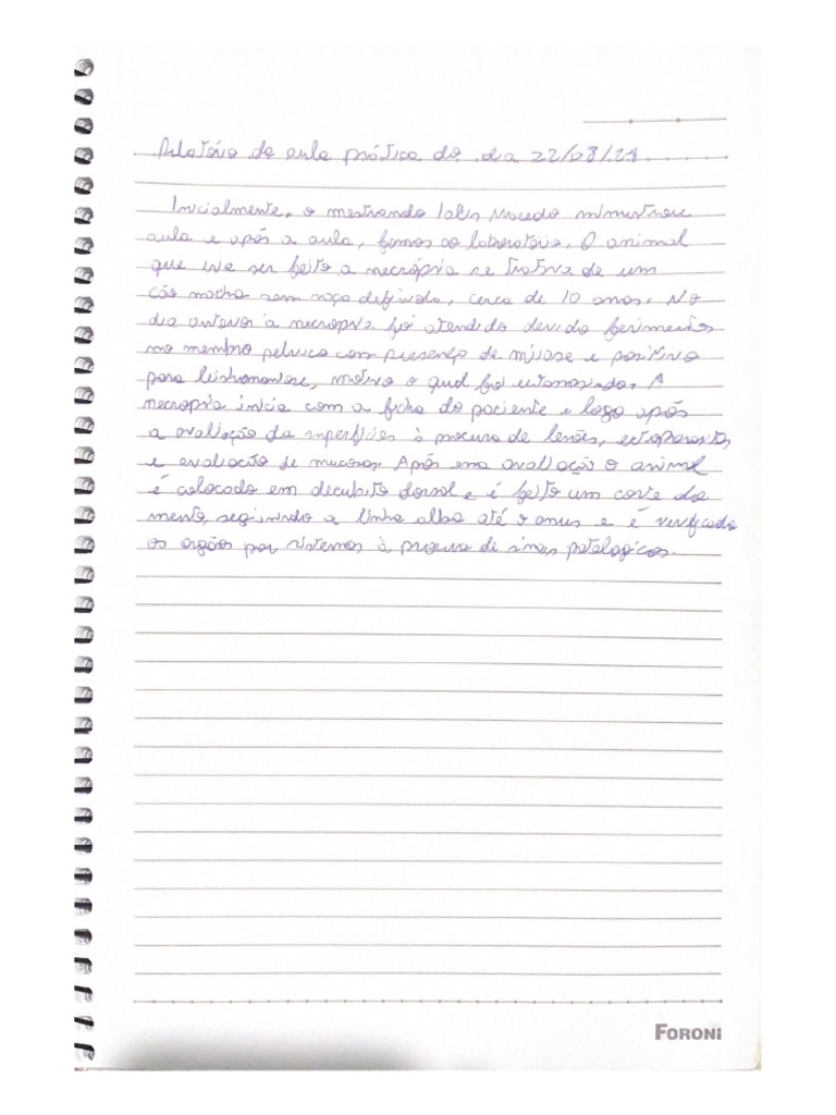 Relatorio de Necropsia 2908 | PDF