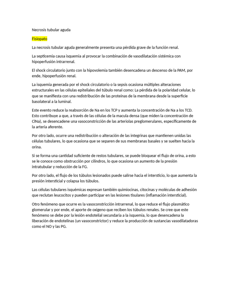 Fisiopatología de la Necrosis Tubular Aguda | PDF | Kidney