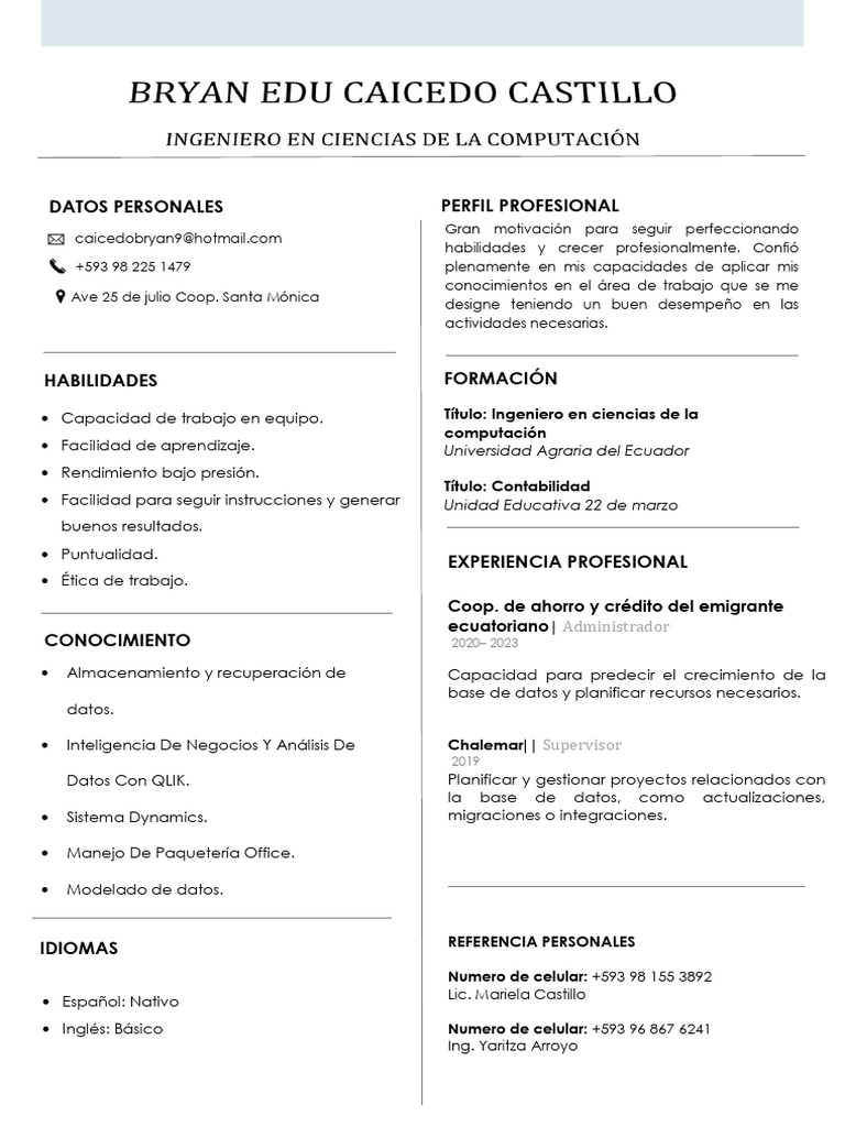 Cv. Bryan Caicedo Castillo | PDF
