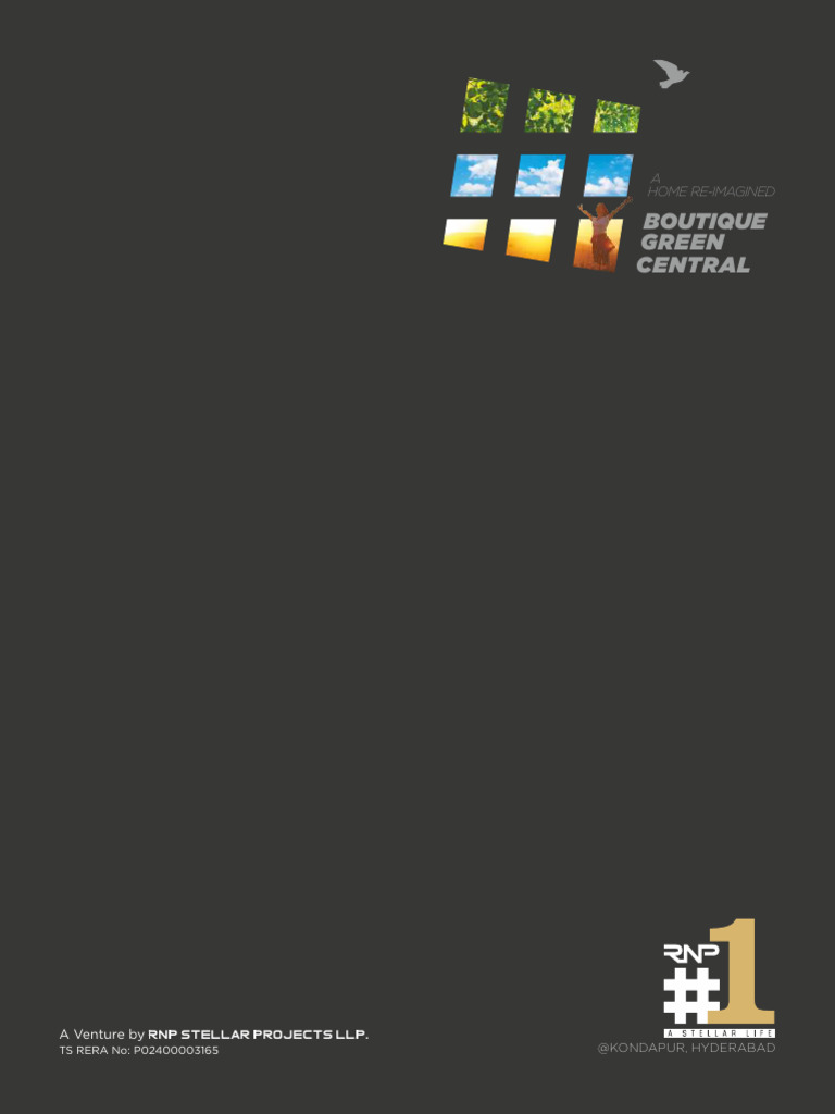 RNP Stellar 1 Brochure | PDF