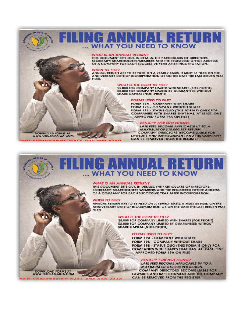 Filing Annual Returns | PDF