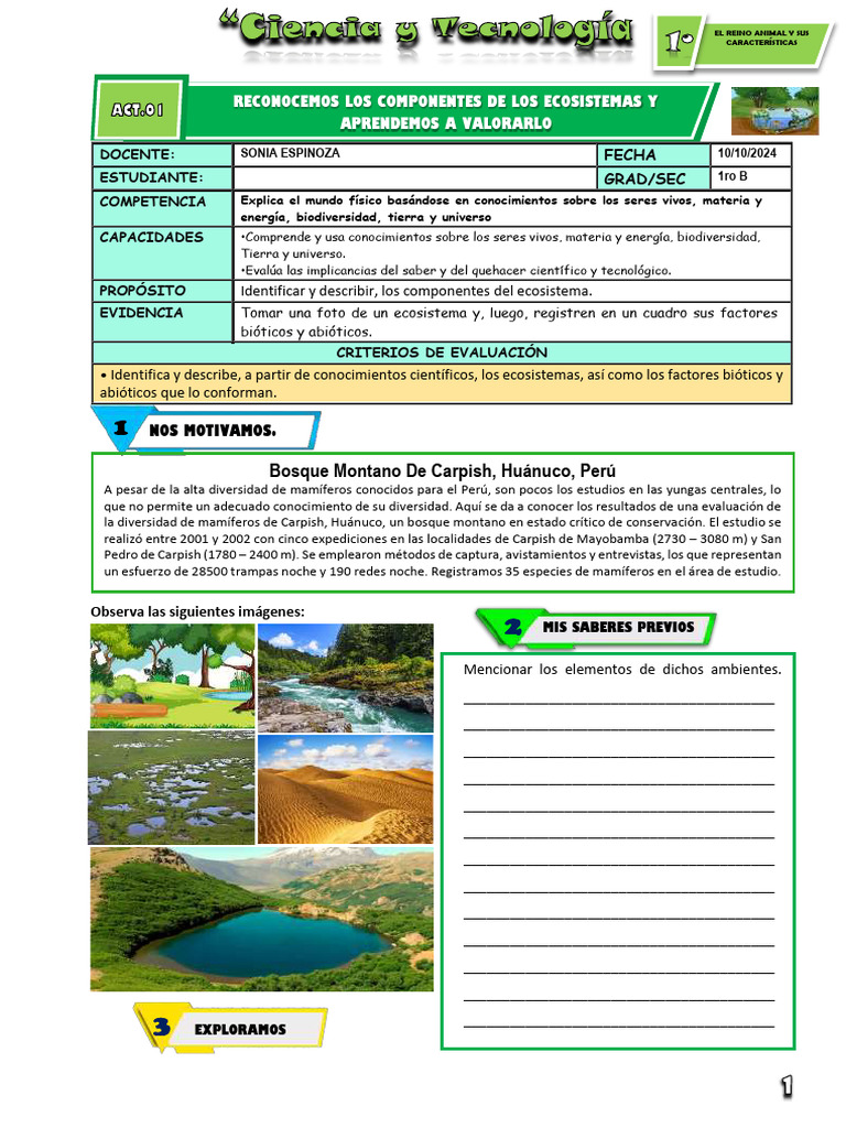 1º Act 1 Cyt- Sem 1 | PDF