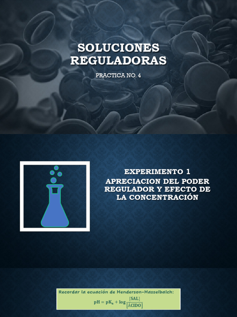 P4 Soluciones Reguladoras | PDF
