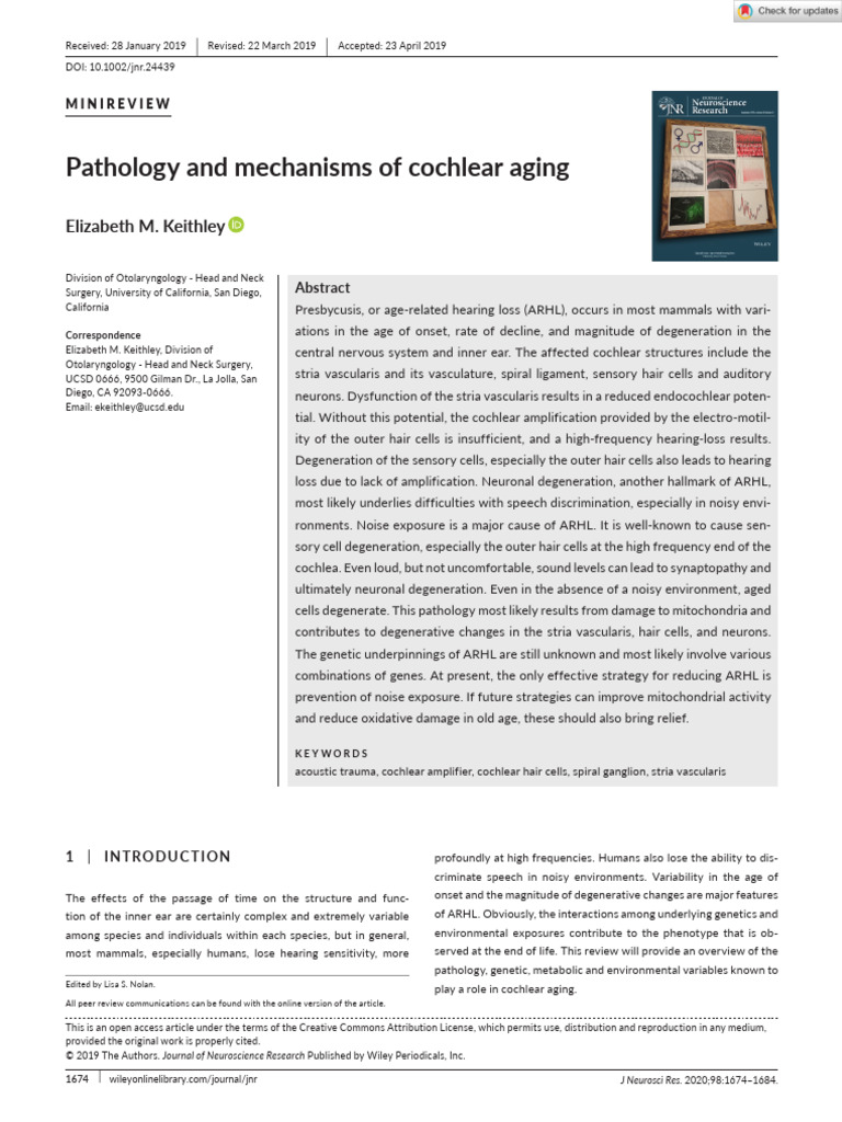 J of Neuroscience Research - 2019 - Keithley - Pathology and Mechanisms of Cochlear Aging | PDF