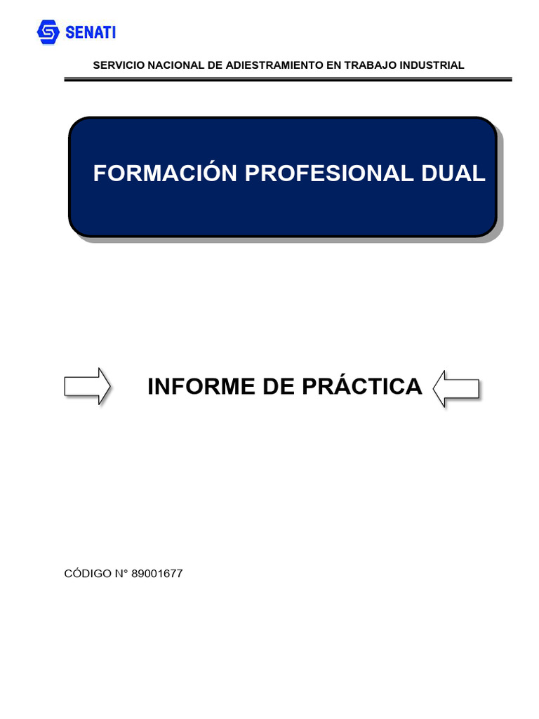Cuaderno de Informe EJEMPLO | PDF