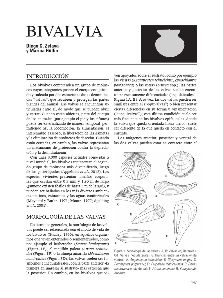 BIVALVIA | PDF
