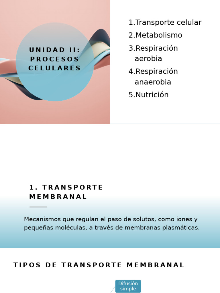 U2.1B Procesos Celulares | PDF